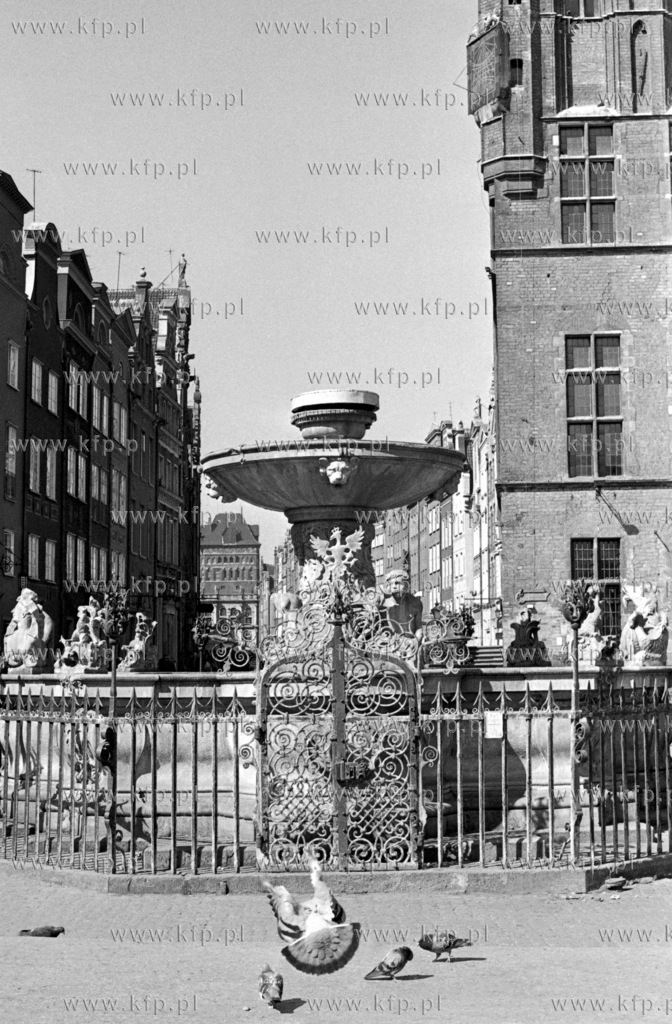 MONTAŻ FIGURY NEPTUNA PO RENOWACJI